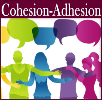 Cohesion and Adhesion Cub - Porter Traditional School